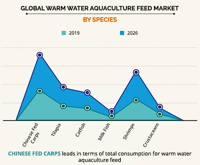Seafood Media Group - Worldnews - China accounted for 60% share in Warm Water Aquaculture Feed ...